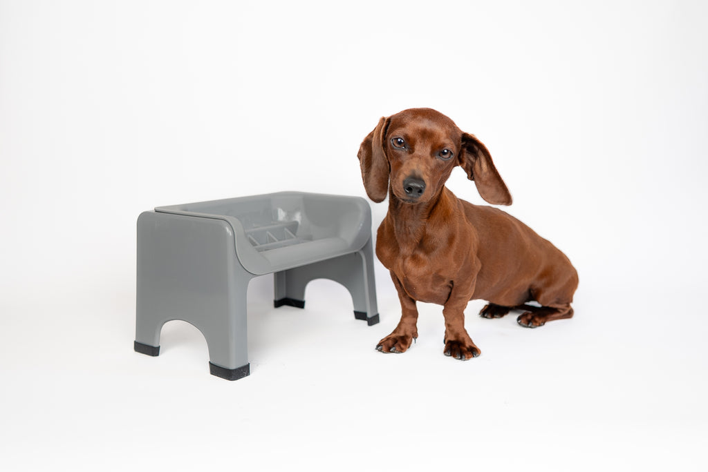 Fluff Trough Binge Blocker Set – The Pugly Company Inc.