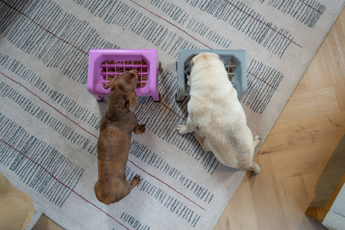 Fluff Trough Binge Blocker Set – The Pugly Company Inc.